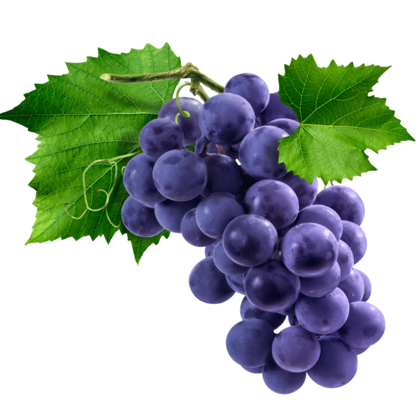 Amazonian Grape – The Fragrance Garden